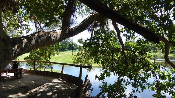 7 of the Best Places to Eat in Maun | The Silver Nomad