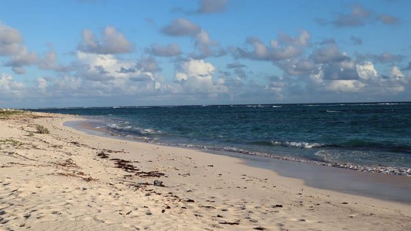 Barbuda – What you Need to Know Before You Go | The Silver Nomad