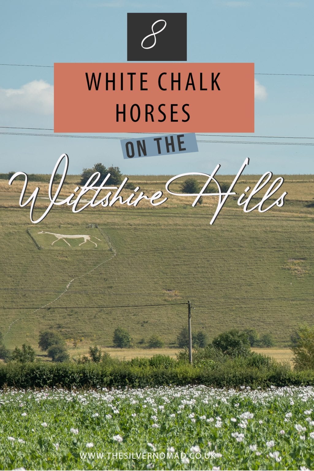 Guide to the Amazing 8 White Chalk Horses on the Wiltshire Hills | The ...