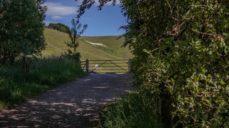 Guide to the Amazing 8 White Chalk Horses on the Wiltshire Hills | The ...