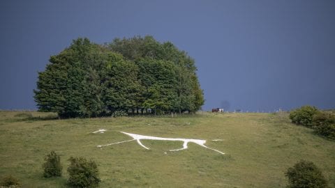 Guide to the Amazing 8 White Chalk Horses on the Wiltshire Hills | The ...